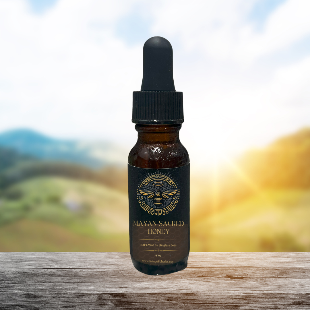 Sacred Mayan Honey Eye Drops – Living Wild